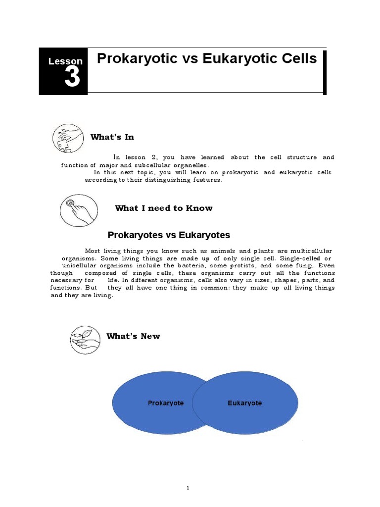 Prokaryotic Vs Eukaryotic Cells: Lesson | PDF | Cell (Biology) | Eukaryotes