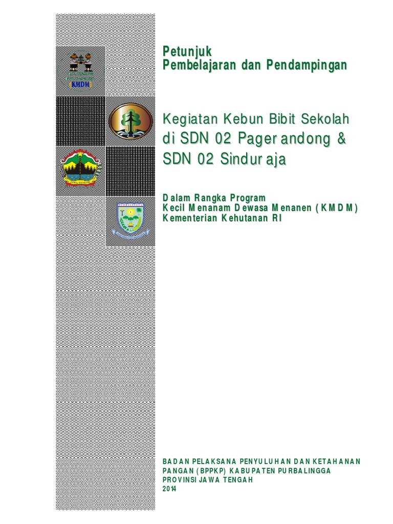 Juknis KMDM | PDF