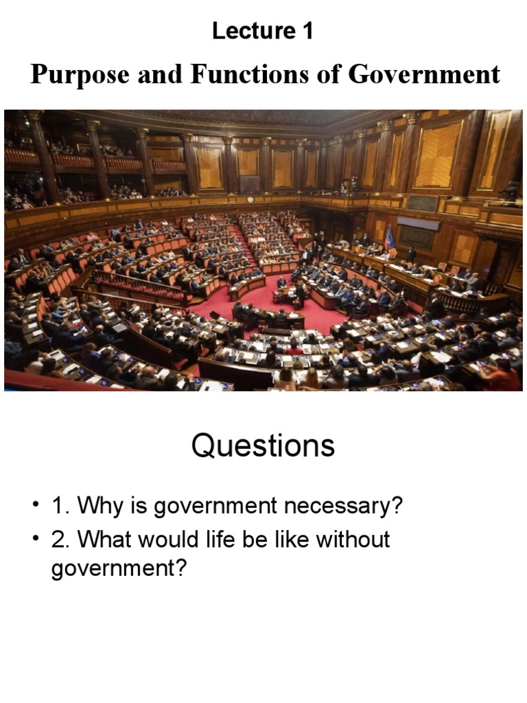 Purpose and Functions of Government | PDF | Crimes | Crime & Violence