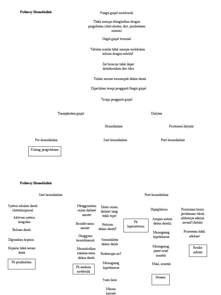 Pathway Hemodialisa | PDF