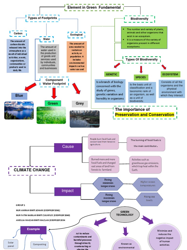 Types of Footprints Biodiversity: Element in Green Fundamental | PDF ...