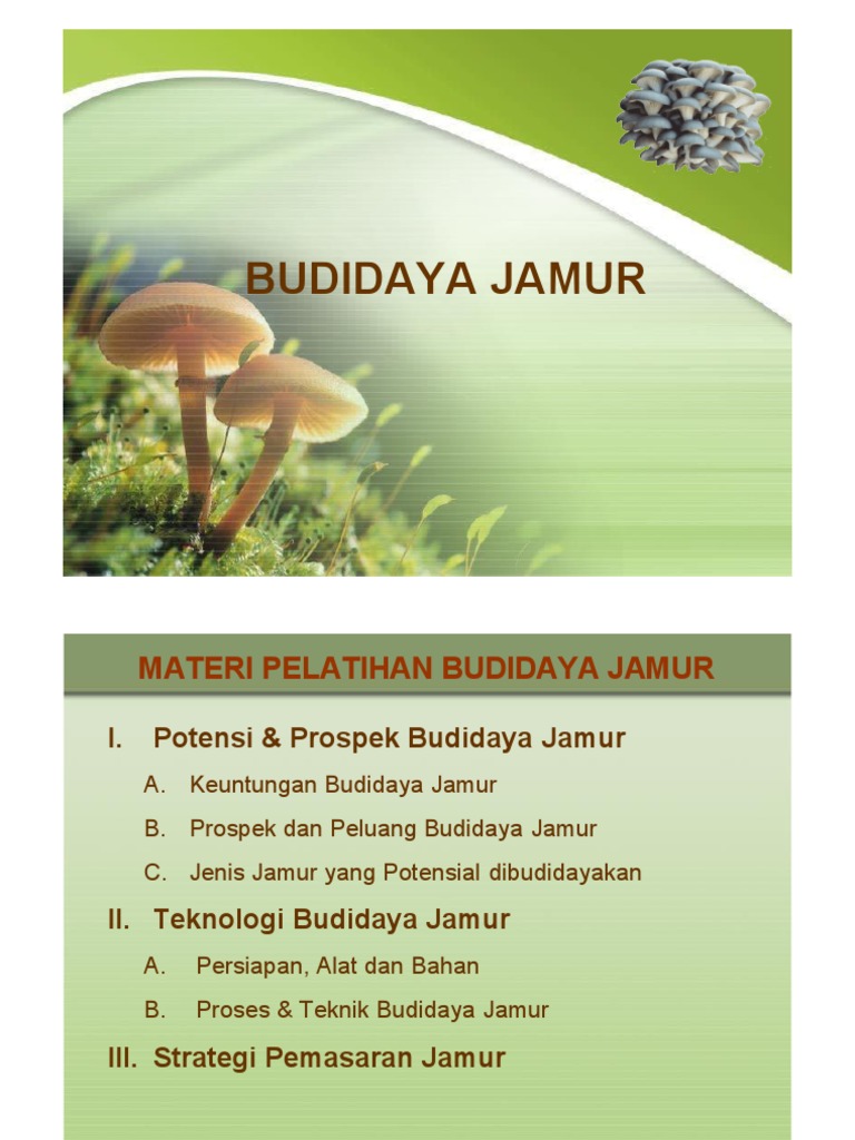 Budidya Jamur | PDF