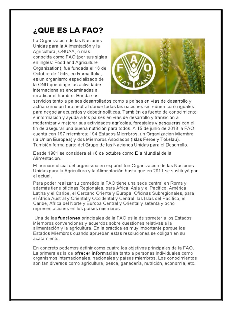 Que Es La Fao y Que Es El Derecho A La Alimentacion | PDF ...
