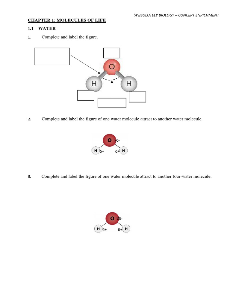 Chapter 1 Molecules of Life (Q) | PDF | Dna | Nucleic Acids