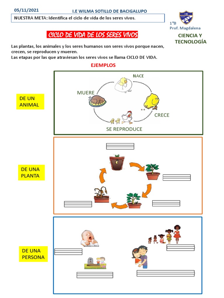 5 Nov. CICLO DE VIDA | PDF