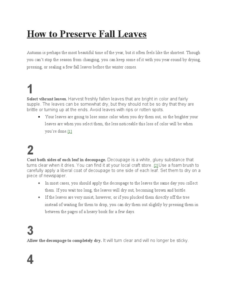 How To Preserve Fall Leaves | PDF | Home & Garden