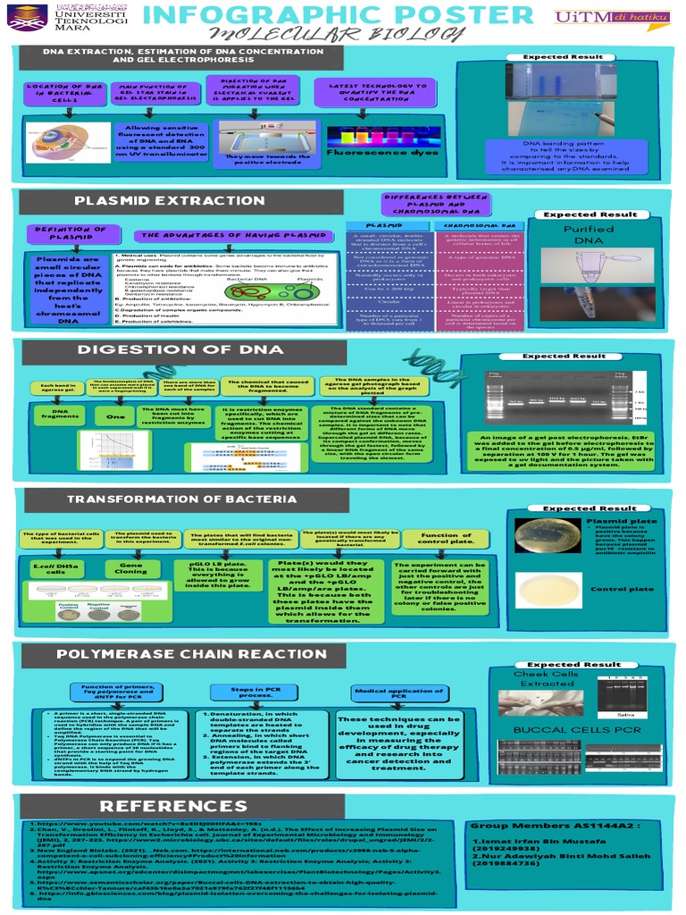 Infographic (Lab 1 - Lab 5) AS1144A2 | PDF | Polymerase Chain Reaction ...
