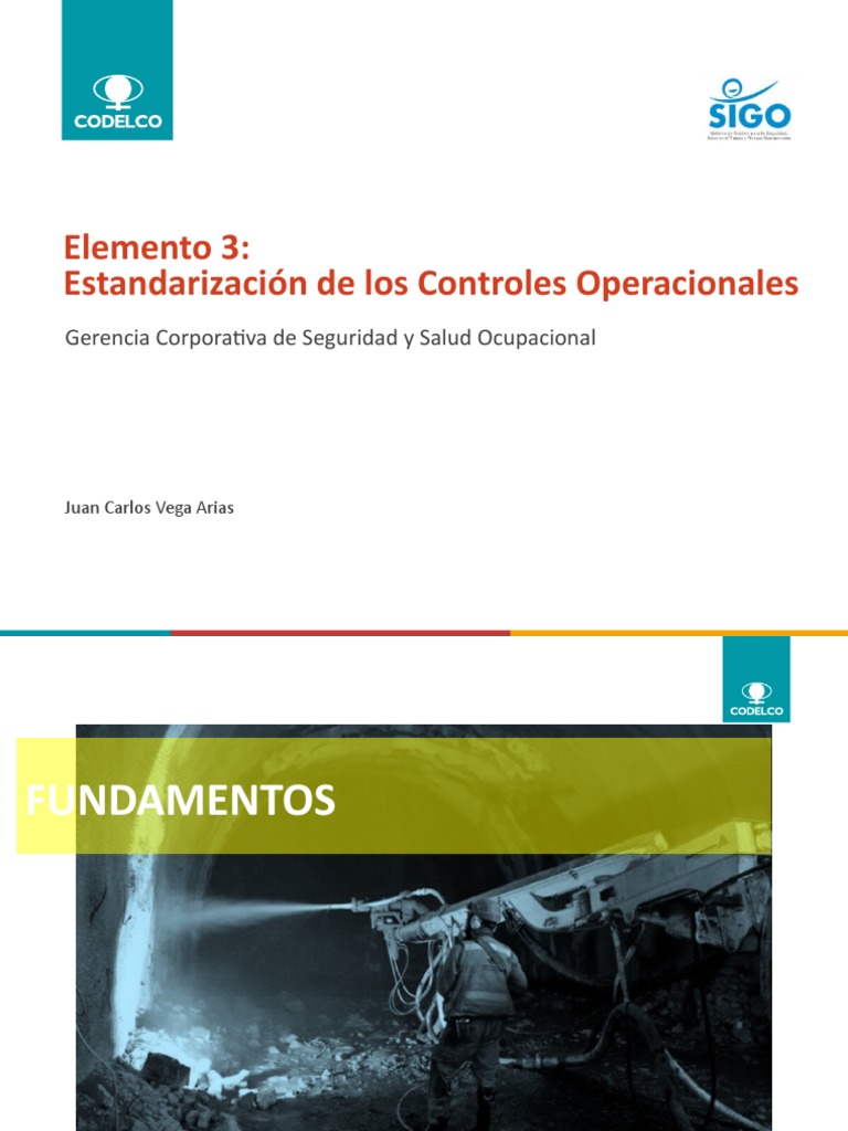 E03 - Estandarización de Controles Operacionales | PDF | Derechos de ...