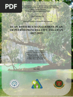 ECAN Guidelines for Palawan Development | PDF | Forestry | Zoning