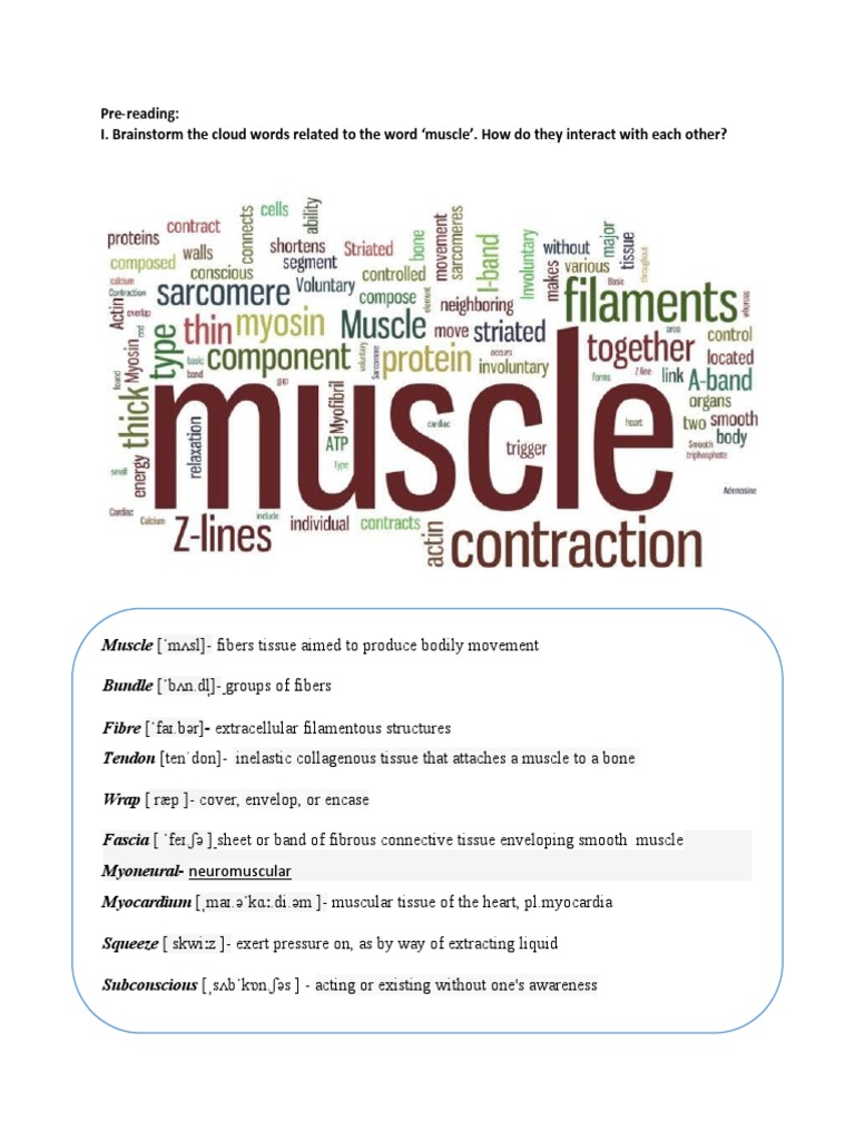 Pre-Reading: I. Brainstorm The Cloud Words Related To The Word Muscle ...