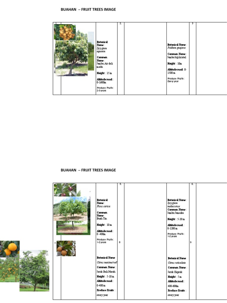 Tropical Fruit Tree Guide | PDF | Tropical Fruit | Plants
