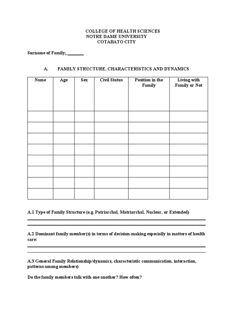 Family Assessment Form | PDF | Toilet | Foods