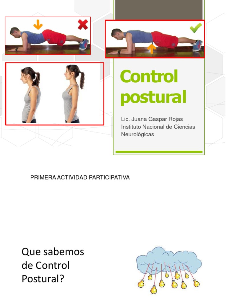 Tema 6 Control Postural I 2021 - 1 | PDF | Neurociencia | Sistema nervioso