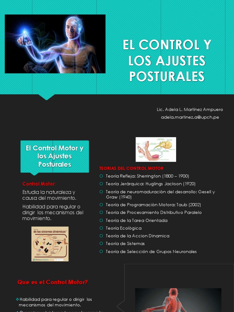 CLASE - Control Motor y Ajuste Postural | PDF | Músculo | Coordinación motriz