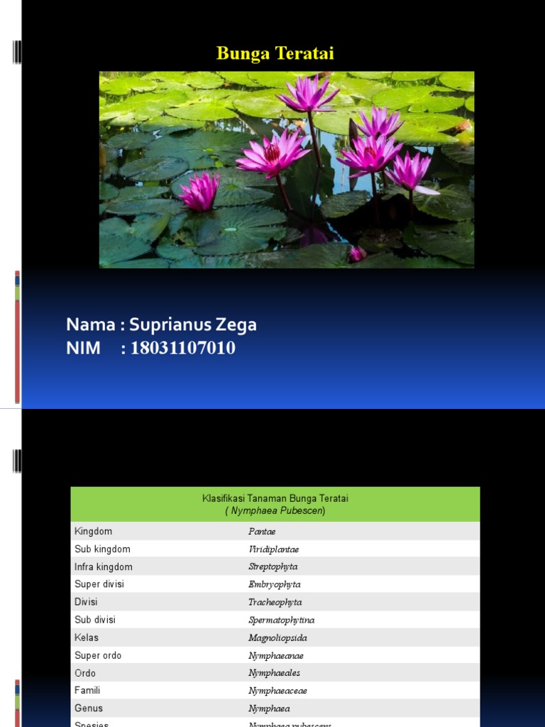 Klasifikasi dan Ciri Bunga Teratai | PDF