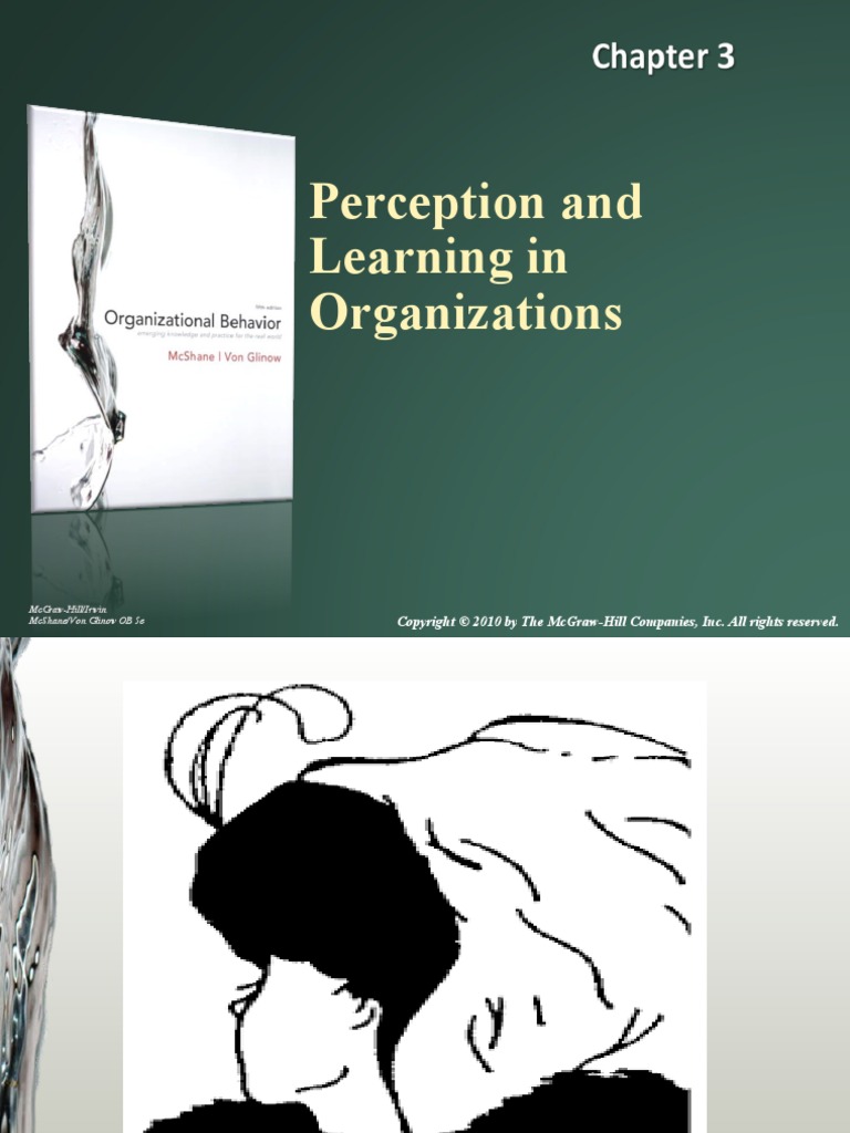 Perception and Learning in Organizations: Mcgraw-Hill/Irwin Mcshane/Von Glinow Ob 5E | PDF ...