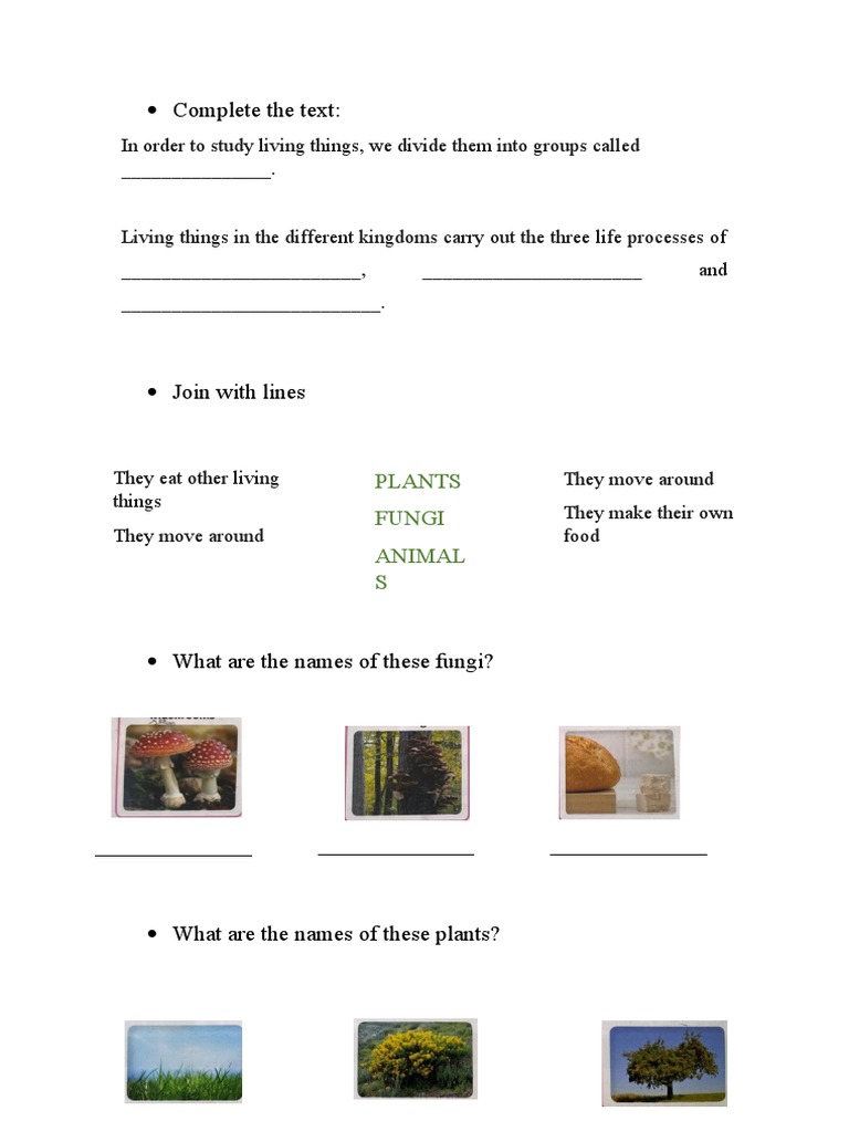 Living Things Natural Science 4º | PDF | Life | Plants