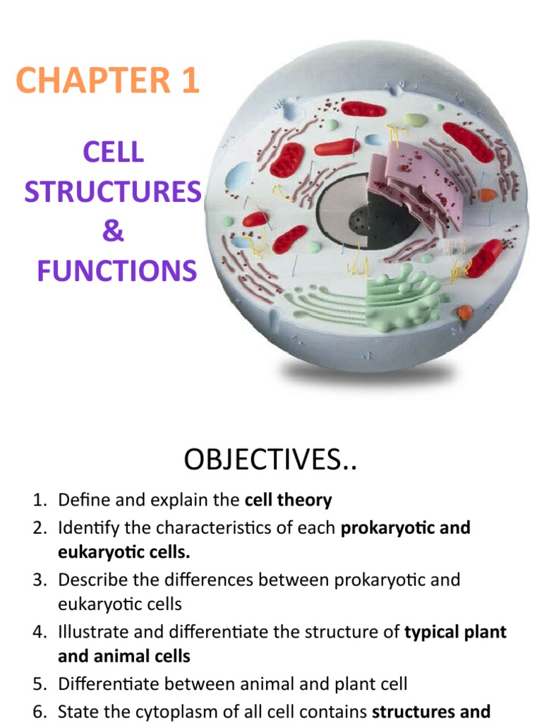 FET CP 1 Cell Structure & Functions | PDF | Endoplasmic Reticulum | Vacuole
