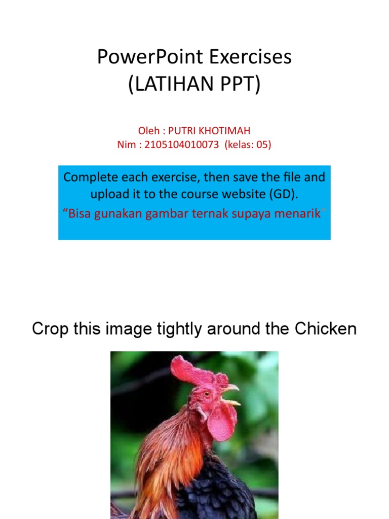 Latihan PPT-exercises | PDF