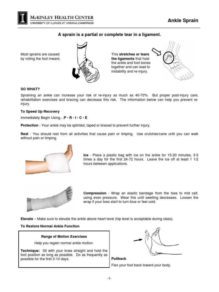 Ankle Sprain Exercises | PDF | Musculoskeletal System | Dance Science