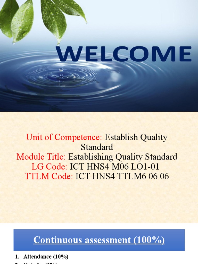 Establishing Quality Standards Guide | PDF | Iso 9000 | Quality Assurance