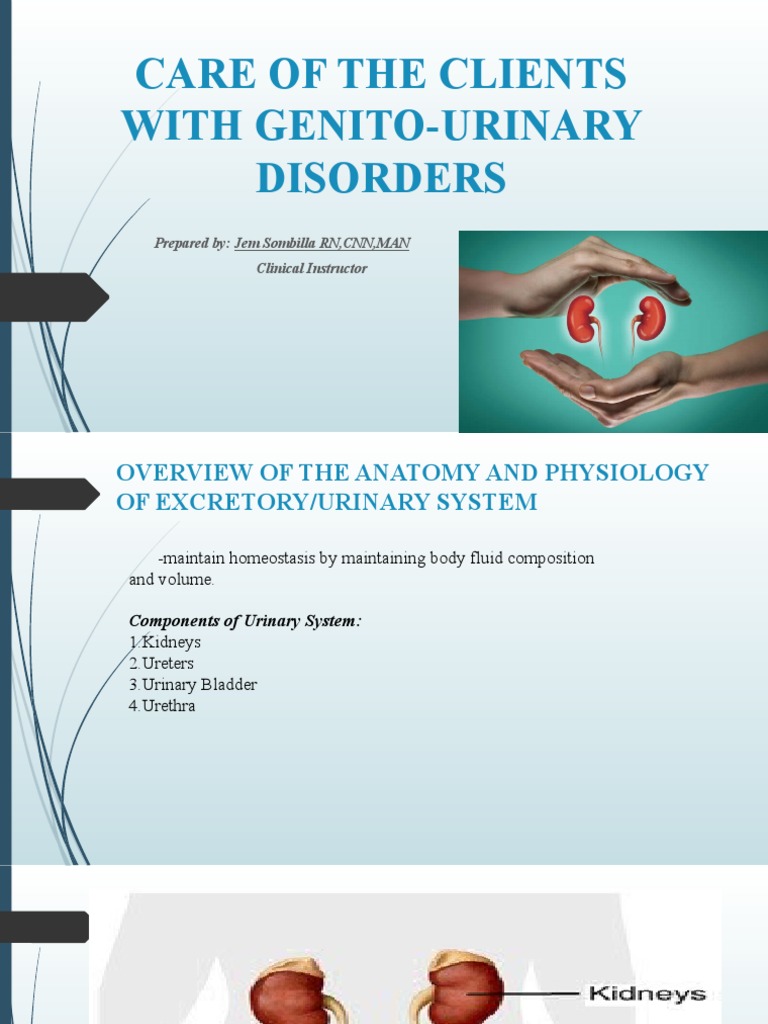 Care of Clients With Genito-Urinary System | PDF | Kidney | Angiotensin