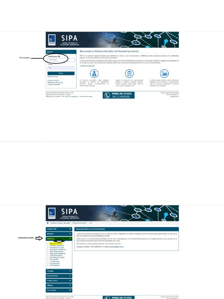 Pasos Solicitud Licencia Rpa | PDF