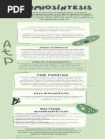 QUIMIOTROFOS | PDF | Sustancias químicas | Biología