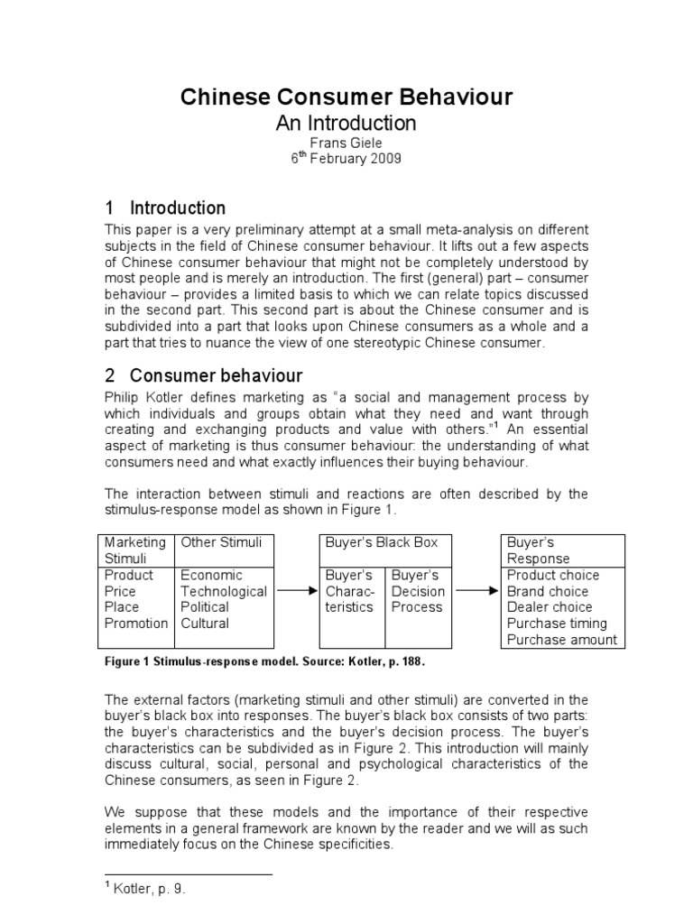 2009 Chinese Consumer Behaviour | PDF | Consumer Behaviour | Behavior