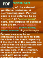 Perineal Care Checklist | Labia | Pelvis