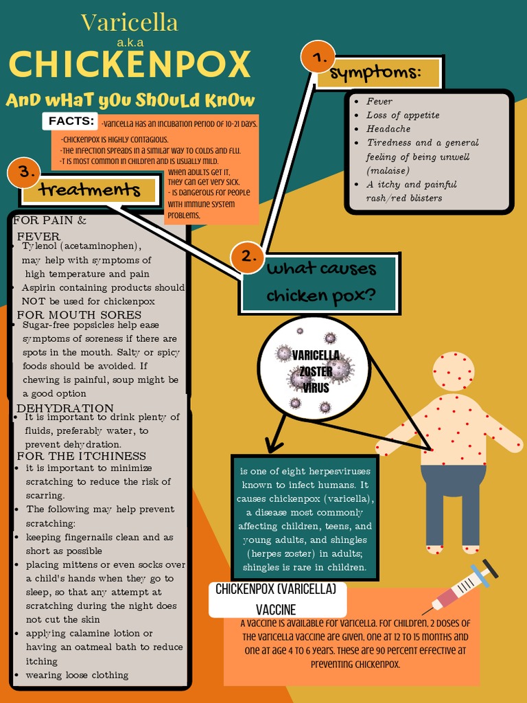 Chicken Pox Infographics | PDF | Viral Diseases | Medicine
