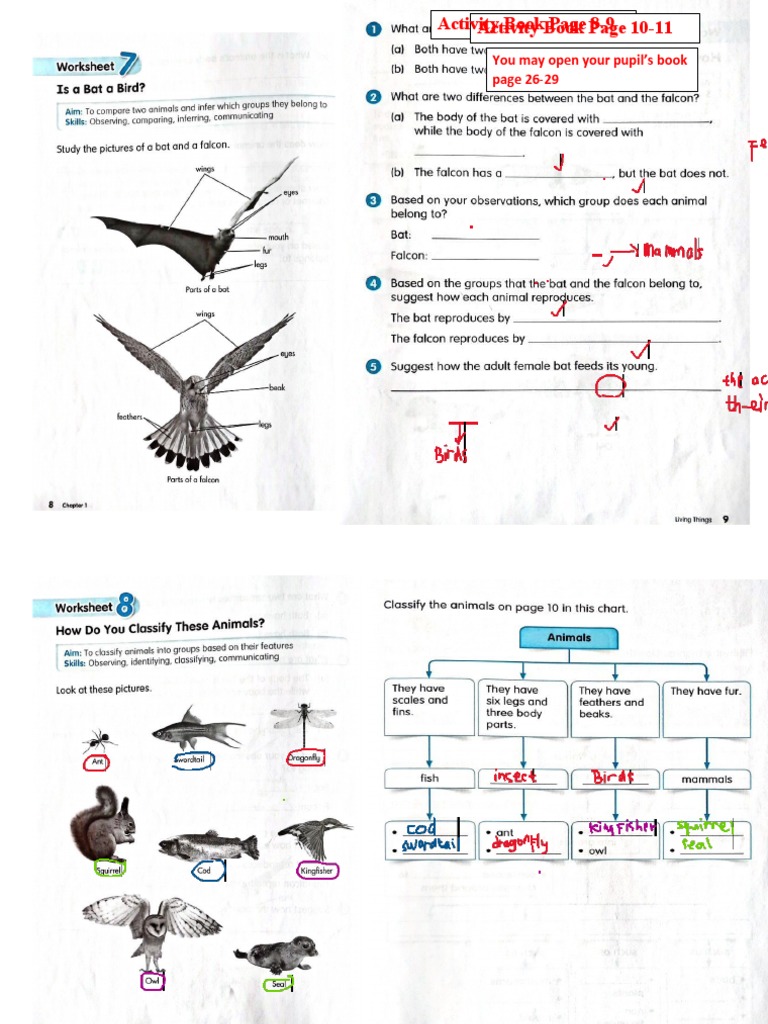 Chapter 1 - Activity Book (Page 8-12) | PDF