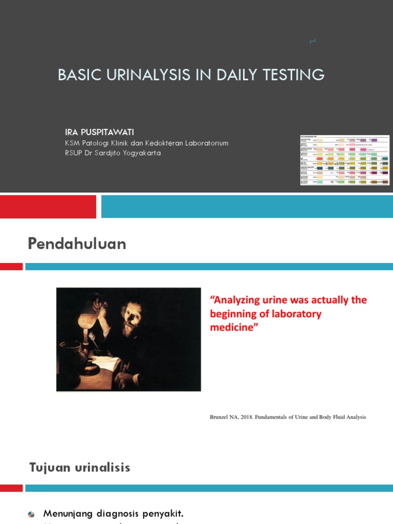Basic Urinalysis in Daily Testing - DR Ira Pustipawati MKes SPPK K ...