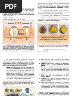 Function and Role of Plumule in Seeds | PDF | Seedling | Biology