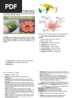 Reproductive Biology of Angiosperms | PDF | Plants | Plant Morphology