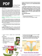 Rose Flower Anatomy and Functions | PDF