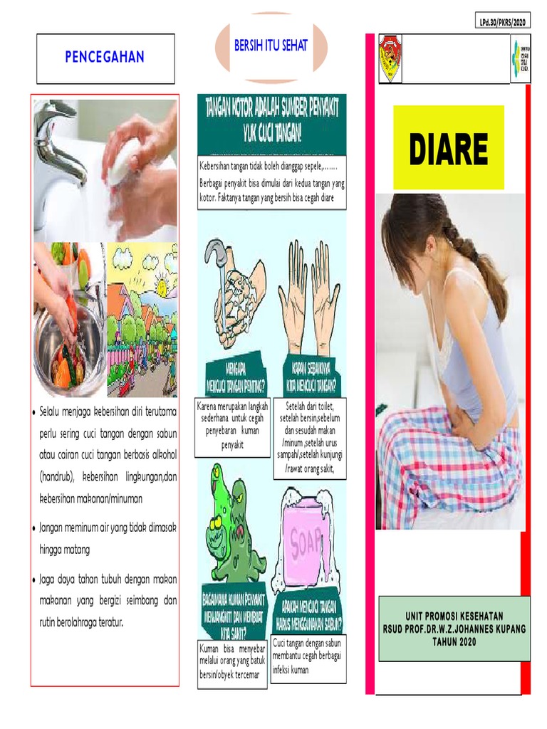 Diare Dewasa | PDF