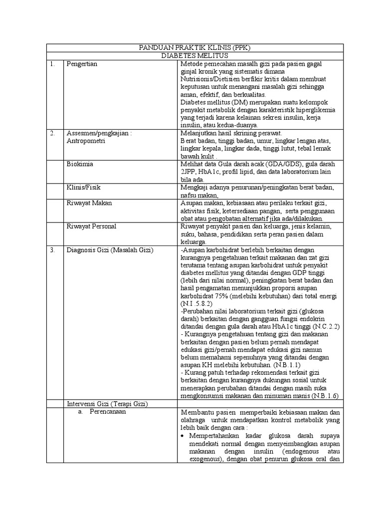 PPK Gizi DM | PDF