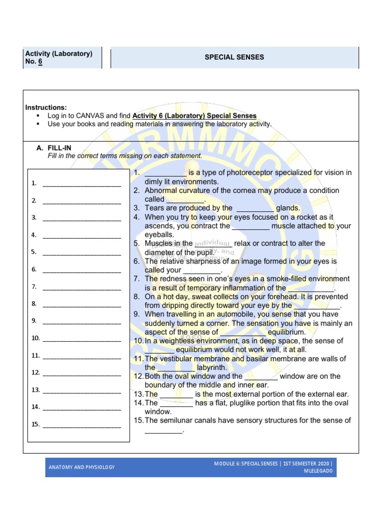 Laboratory Activity 6 - Special Senses | PDF | Ear | Olfaction