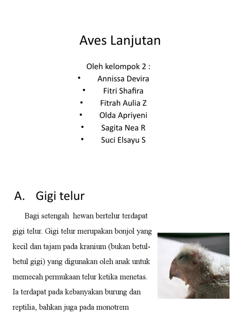 AVES'' | PDF