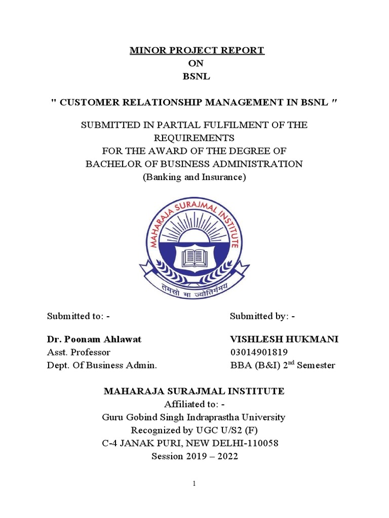 Minor Project Report | PDF | Customer Relationship Management | Sales