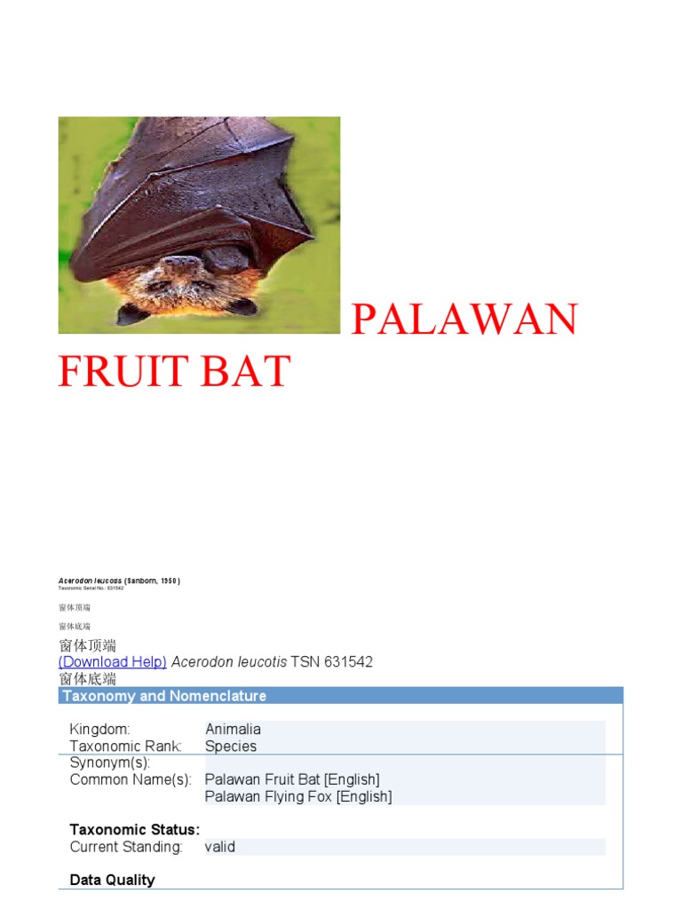 Palawan Fruit Bat Taxonomy Overview | PDF | Taxonomy (Biology) | Taxa