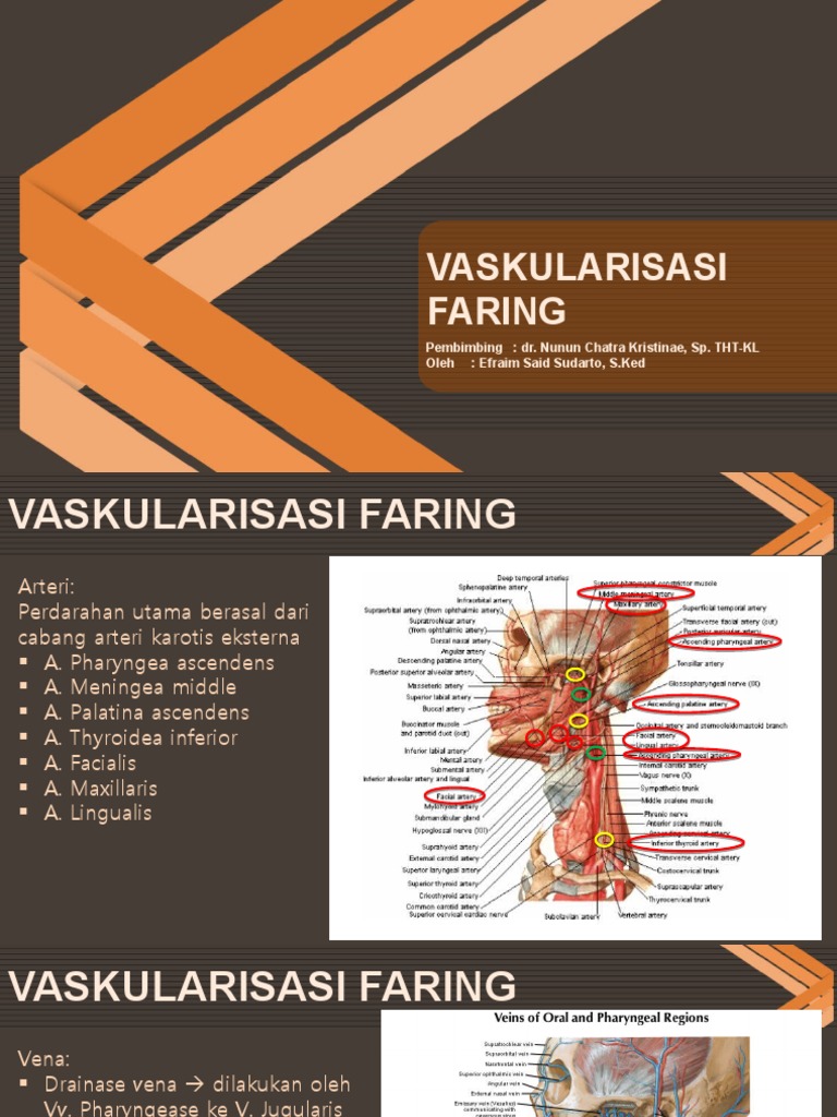 Vaskularisasi Faring-EFRAIM | PDF
