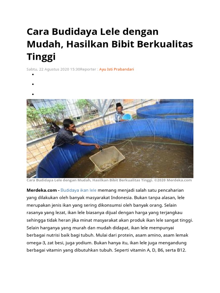 Cara Budidaya Lele | PDF | Teknologi & Rekayasa