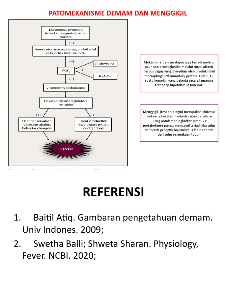 Demam & Menggigil | PDF