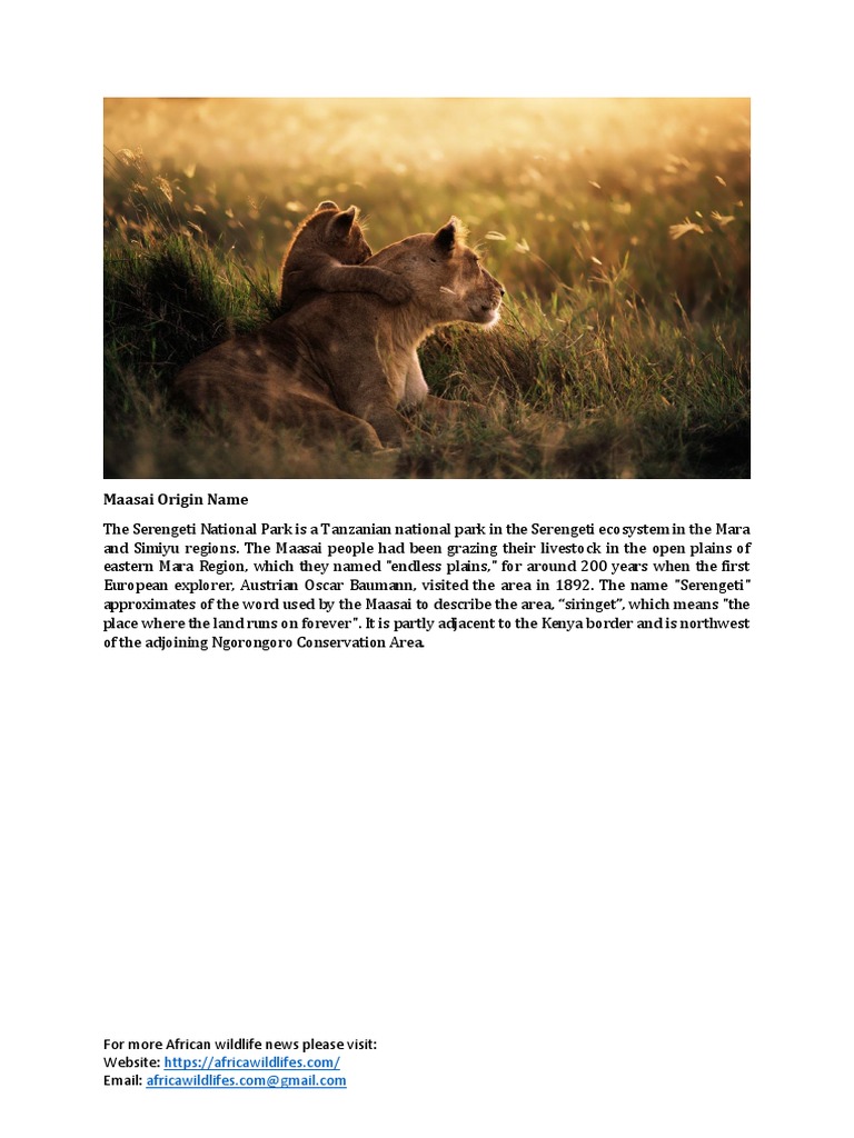 Serengeti National Park Overview | PDF | Natural Environment