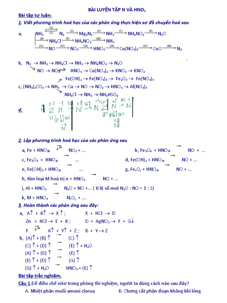 De Cuong Hoa Hoc Ki 1 Lop 11 | PDF