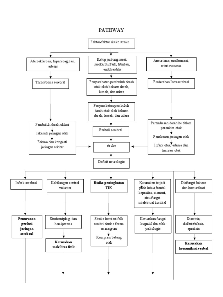 PATHWAY Stroke | PDF