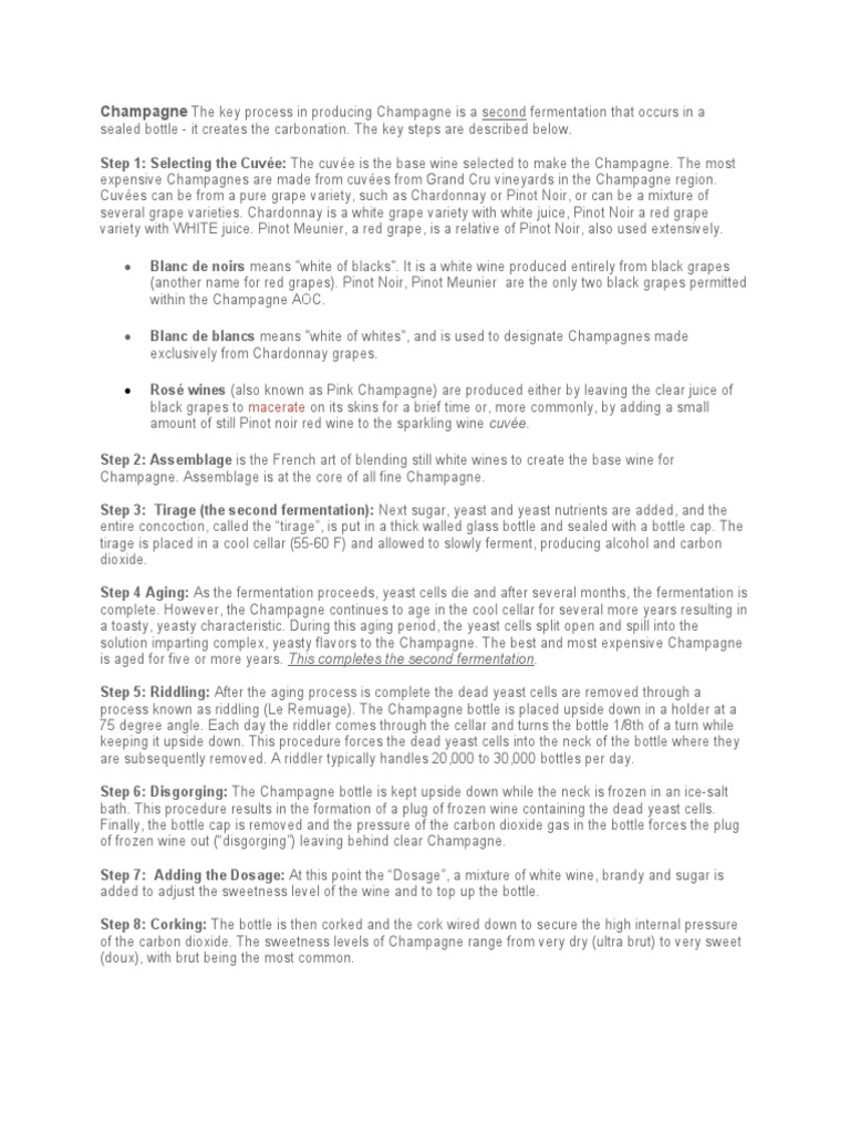 Champagne Making Process Explained | PDF | Champagne | Wine