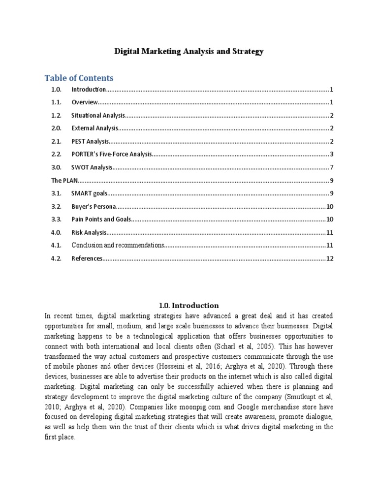 Digital Marketing Analysis and Strategy | PDF | Digital Marketing | Retail
